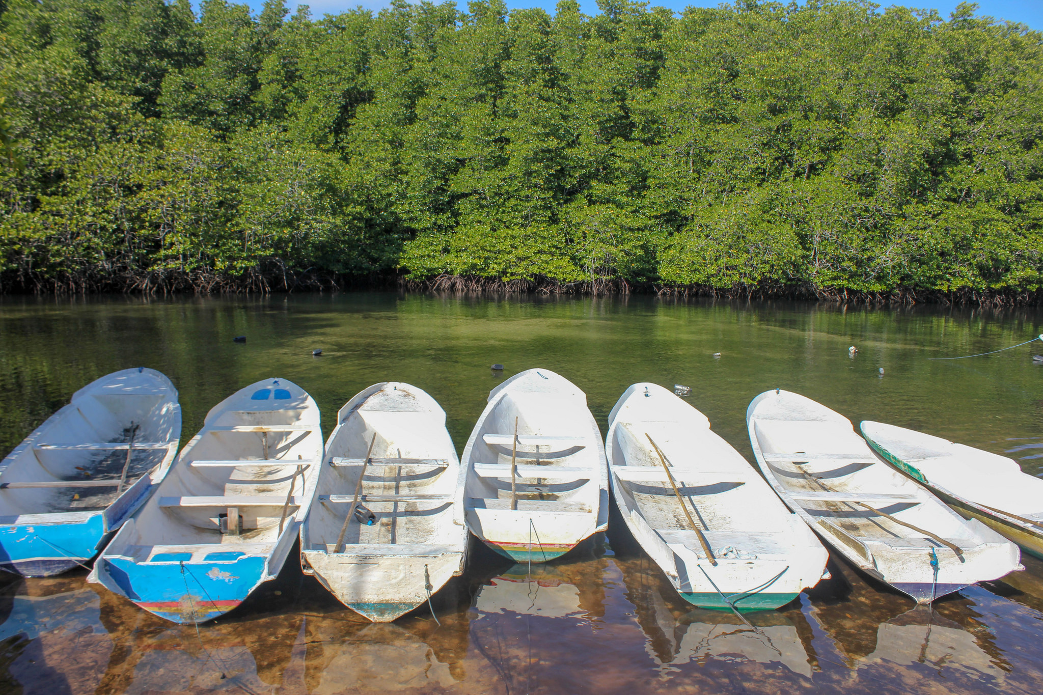 Partners - GEF Blue Forests Project